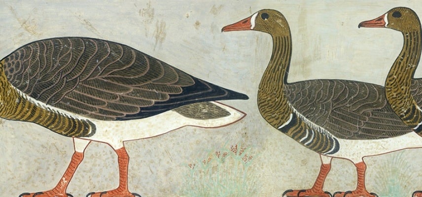 The Meidum Geese – Egypt Museum