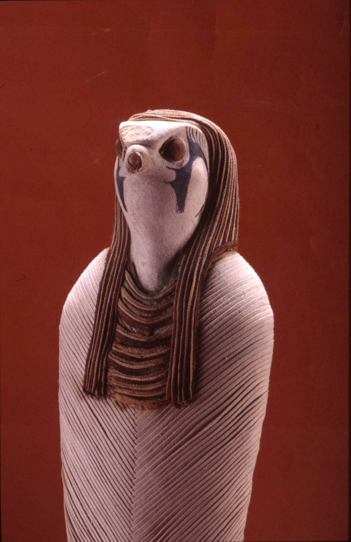 Mummy of a Falcon - Egypt Museum