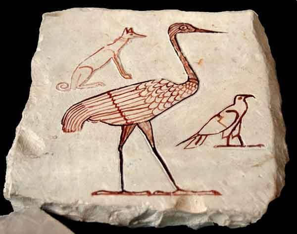 Figured Ostracon of animals - Egypt Museum