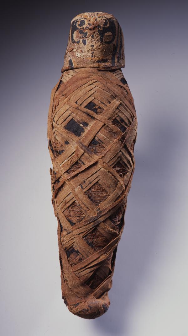 Mummified Falcon - Egypt Museum