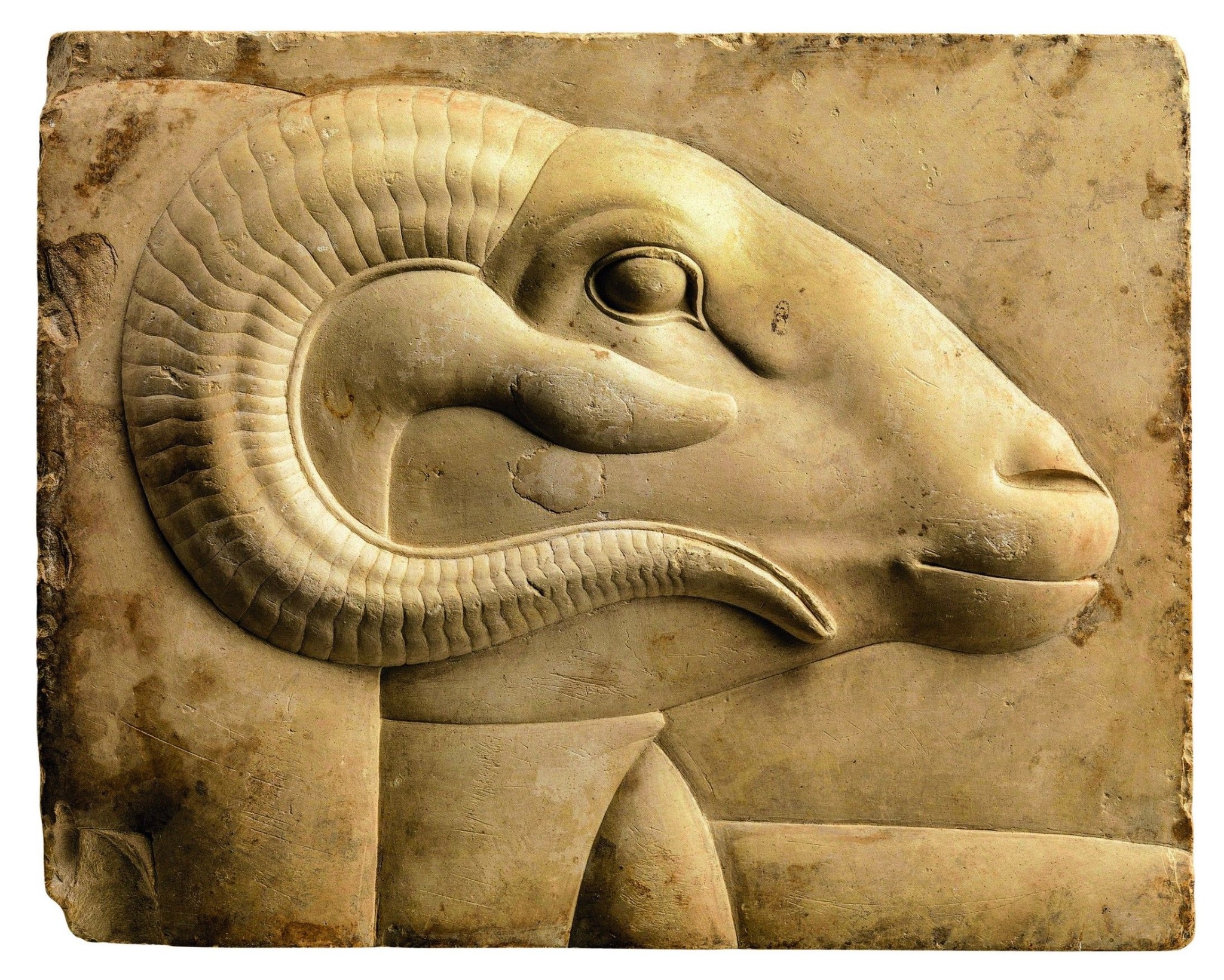 Relief Plaque with Ram Head from a God Figure - Egypt Museum