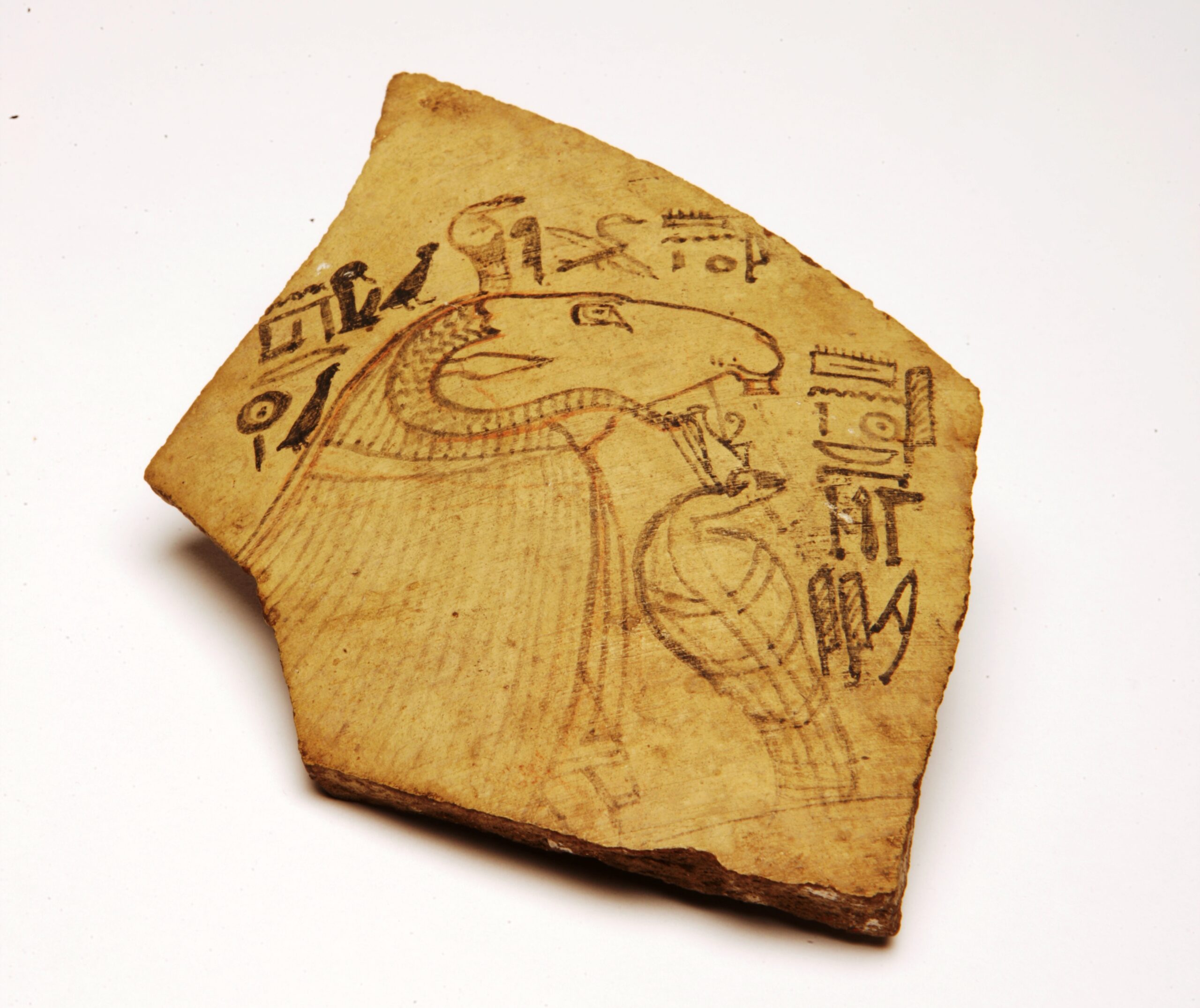 Ostracon of Amun-Re as a ram - Egypt Museum