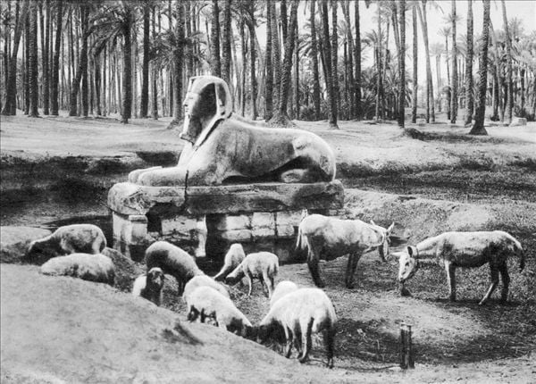 The Sphinx of Memphis, 1920s - Egypt Museum