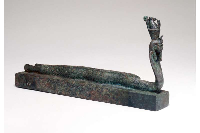 Unwrapping secrets of lizard mummies - Egypt Museum