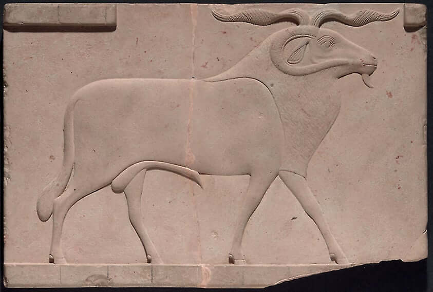 Relief plaque depicting a Ram - Egypt Museum