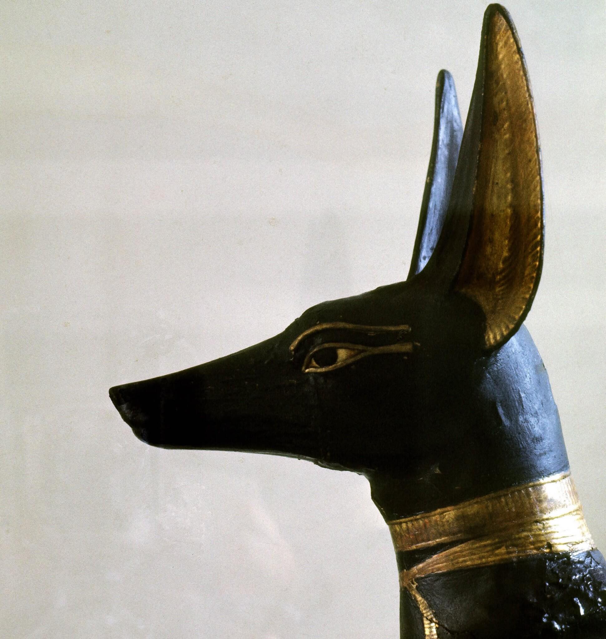 Anubis: Guardian of the Dead, Hound of the Divine - Egypt Museum
