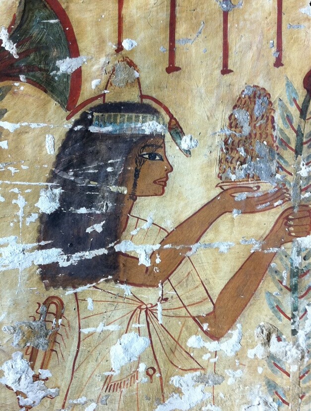 Tomb of Neferhotep TT49 - Egypt Museum