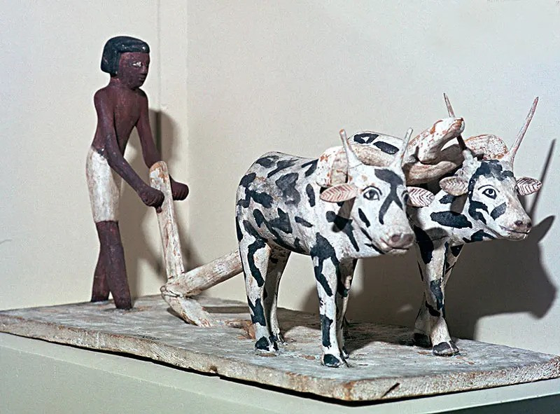 Wooden model of a farmer ploughing with oxen - Egypt Museum