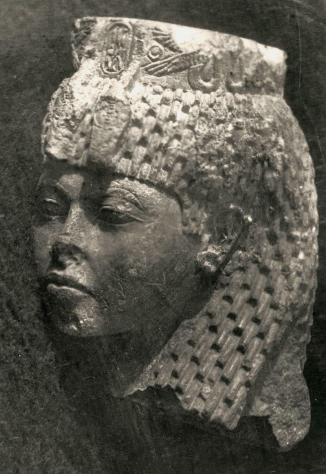 Queen Tiye Facial Reconstruction Face Of King Tut's Grandmother Is