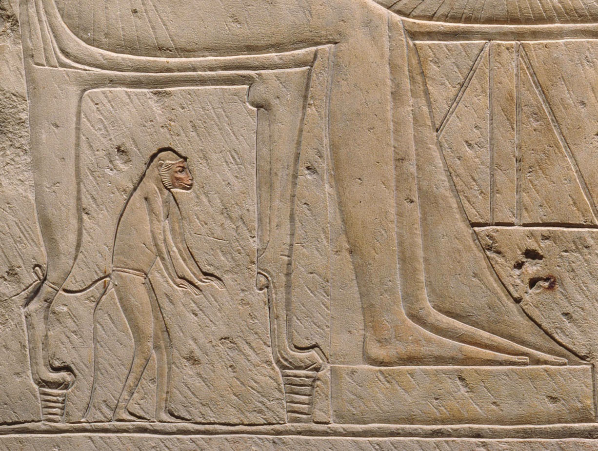 Relief of a Pet Monkey - Egypt Museum