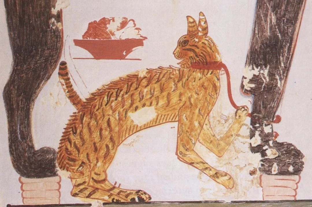 Pets in Ancient Egypt - Egypt Museum