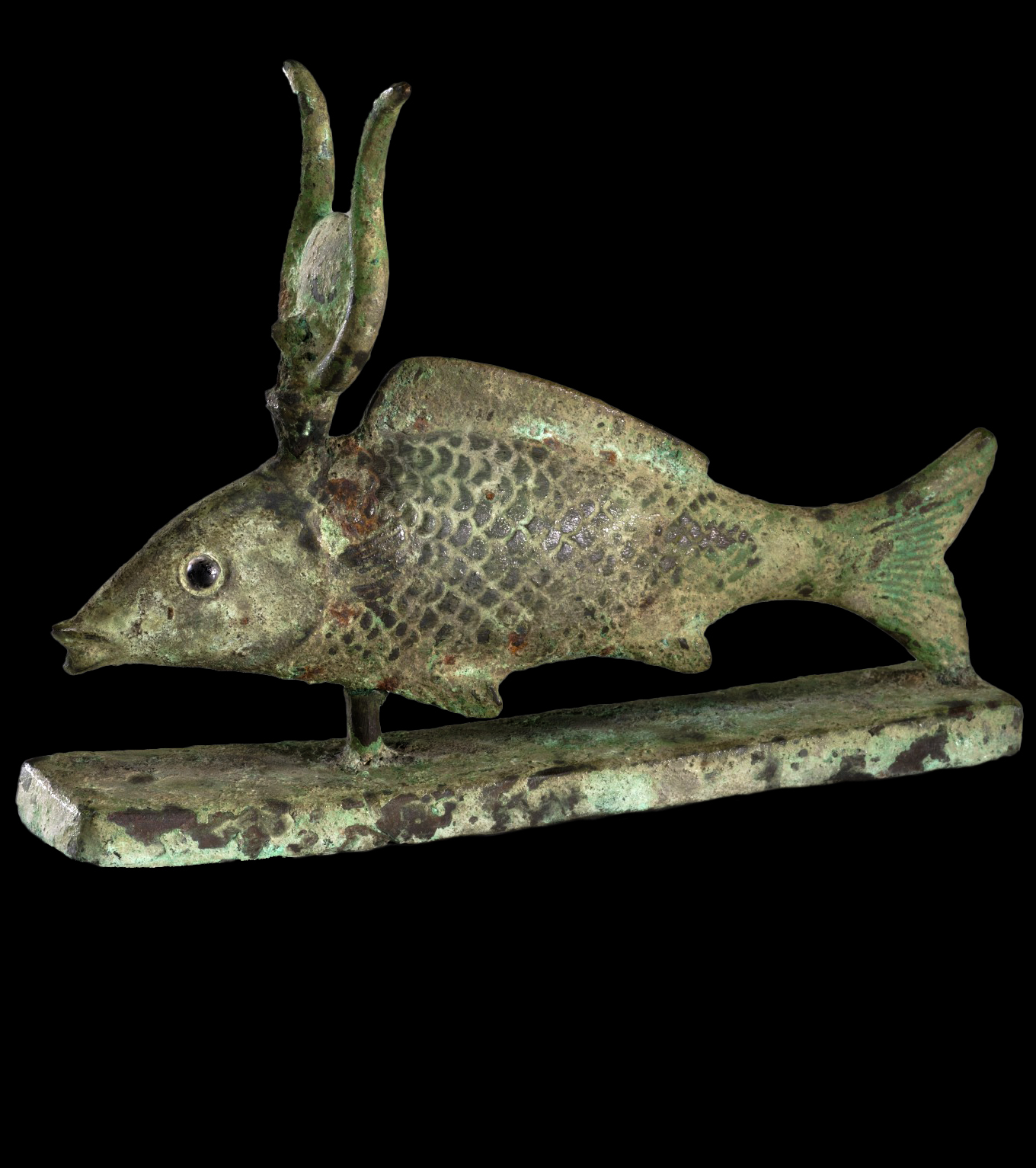 Sacred Fish - Egypt Museum