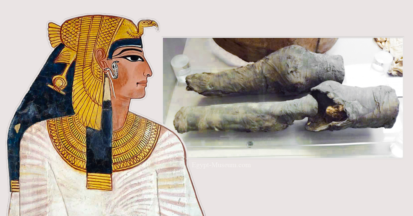Legs of Nefertari - Egypt Museum