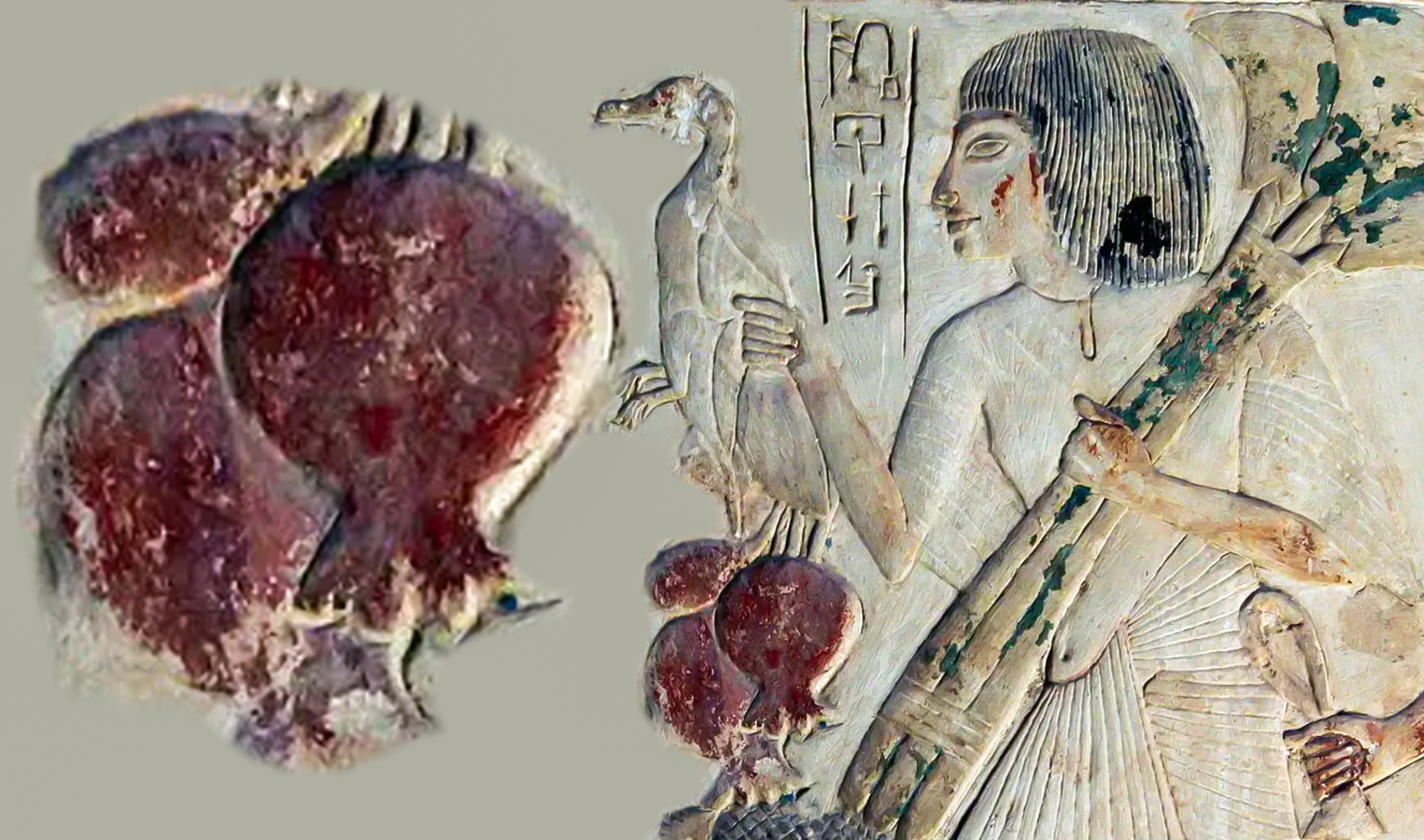 The Pomegranate: A Fruit of Fertility and Abundance - Egypt Museum