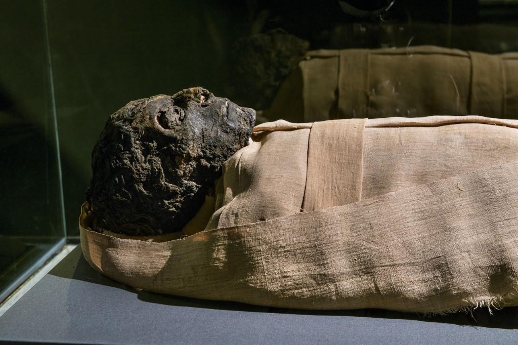 Mummy of King Ahmose I - Egypt Museum