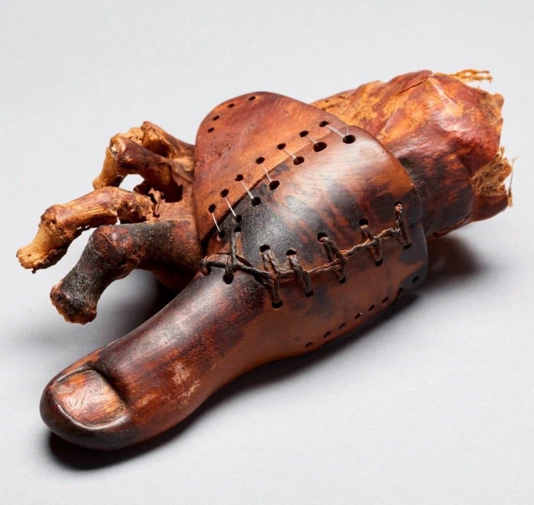 Prosthetic toe of Tabaket en Mut - Egypt Museum